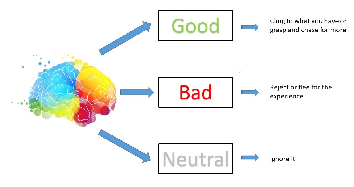 Is Being Judgemental Our Default Setting? (Part 1)